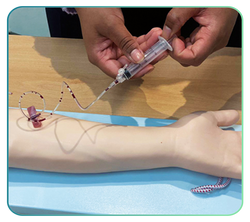 Injection / Venepuncture Trainers – AnatomyStuff