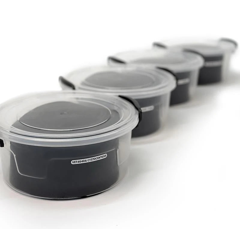 Replacement Canine Bladder Ultrasound Inserts | Erler Zimmer – AnatomyStuff