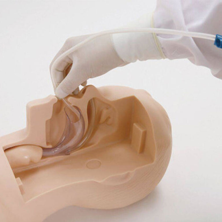 Oral Suction Trainer | ENT Suction Training Model | AnatomyStuff
