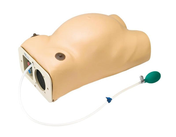Pregnancy Examination Model with Heartbeat Simulation | Erler Zimmer ...