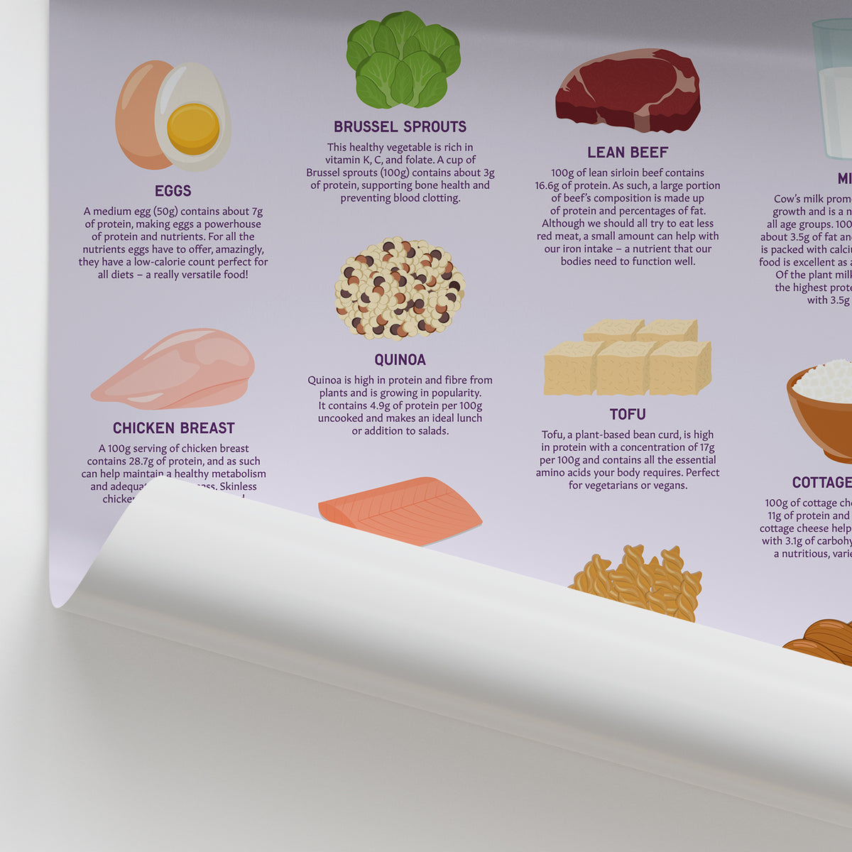 High Protein Foods Poster | Nutritional High Protein Foods – AnatomyStuff