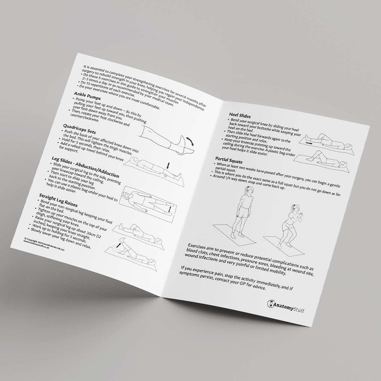 Knee Replacement Exercises Leaflet | Printable Anatomy Download ...